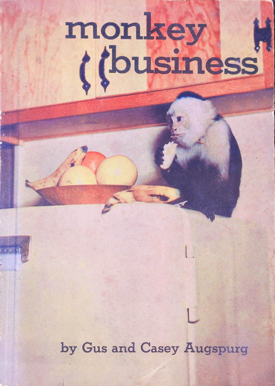 Charley the Monkey - A Leslie Wong Blog